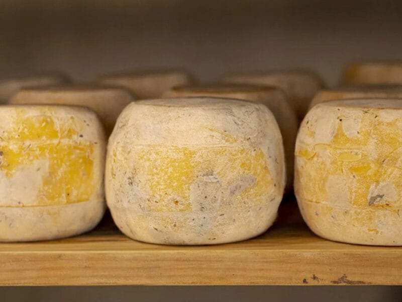 Tuscan Cheese: A Guide to Caciotta, Pecorino, Ricotta, & More