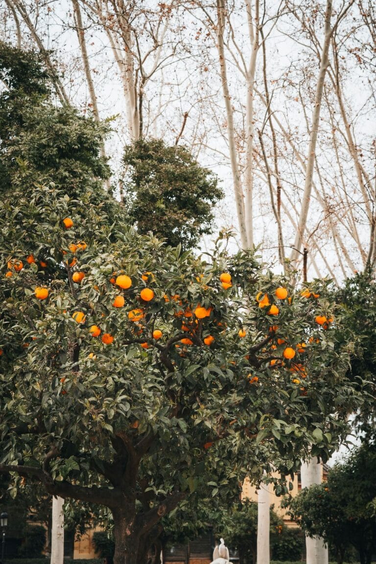 6 Parks and Green Spaces in Rome You Have to See to Believe